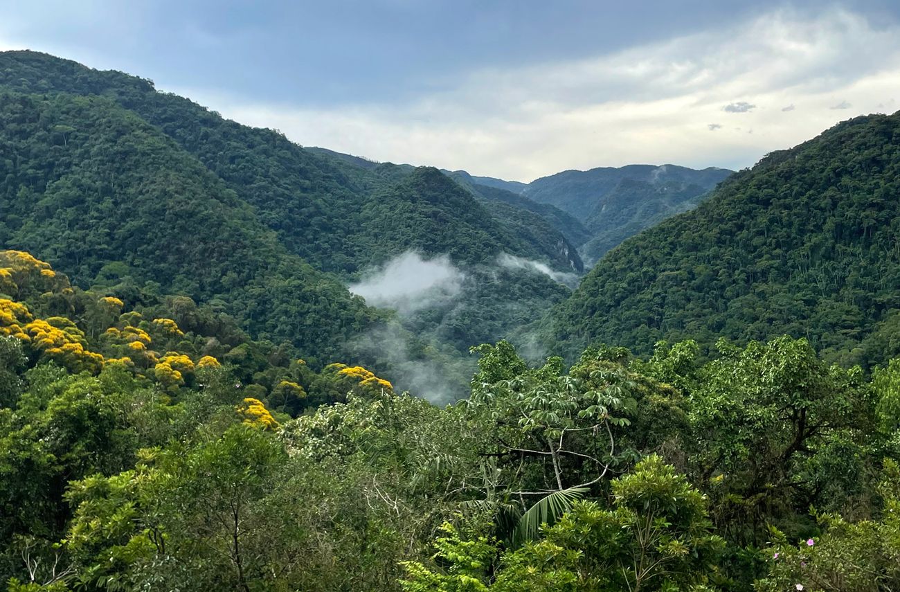 Évaluer la biodiversité pour mieux la préserver : l’expertise de ...