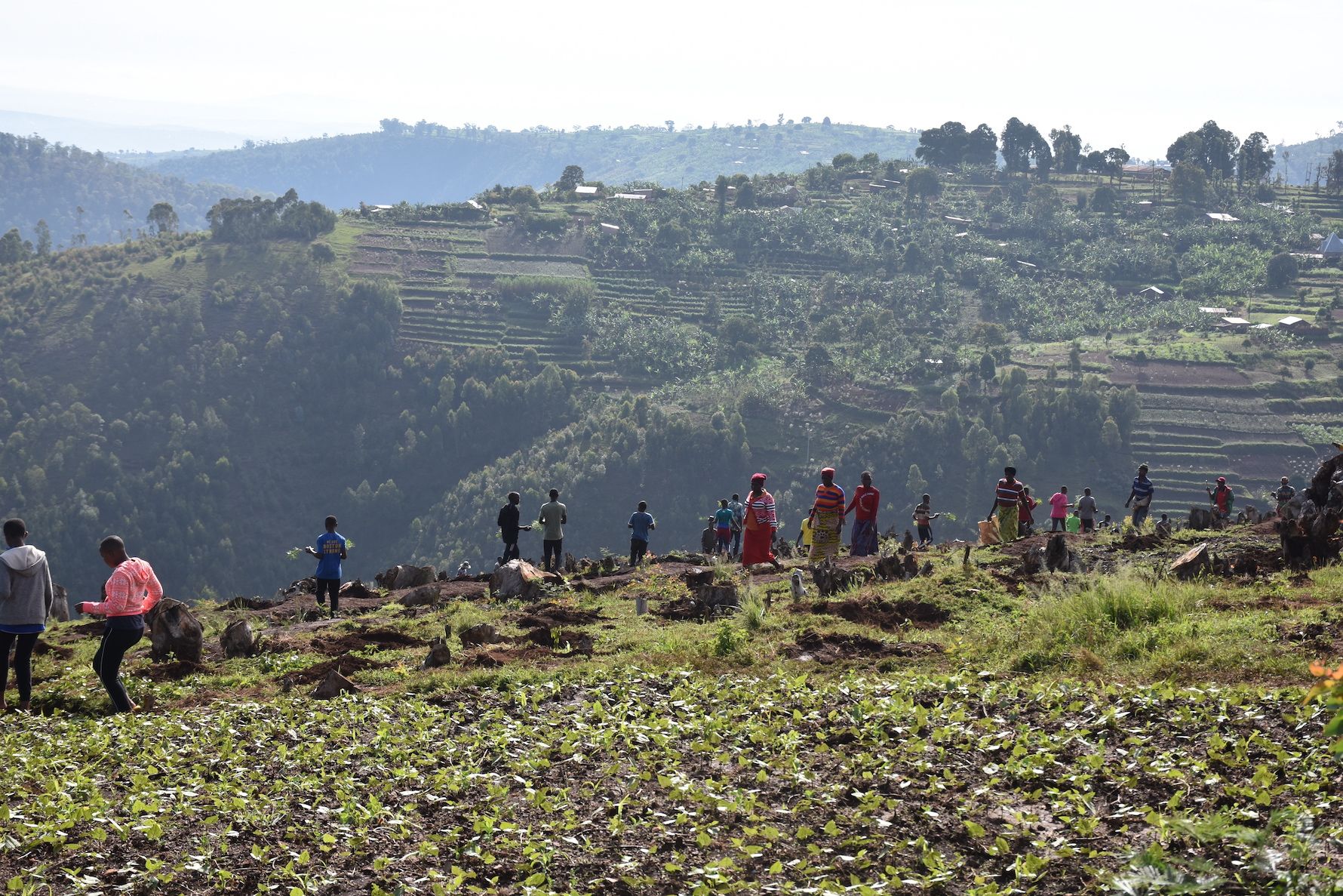 The MuLaKiLa project in Rwanda: the first step toward ambitious ...