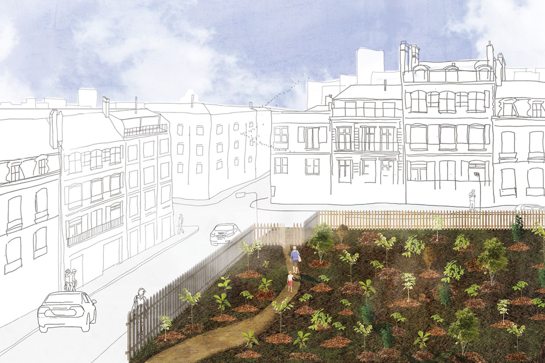 What is an Urban Forest?