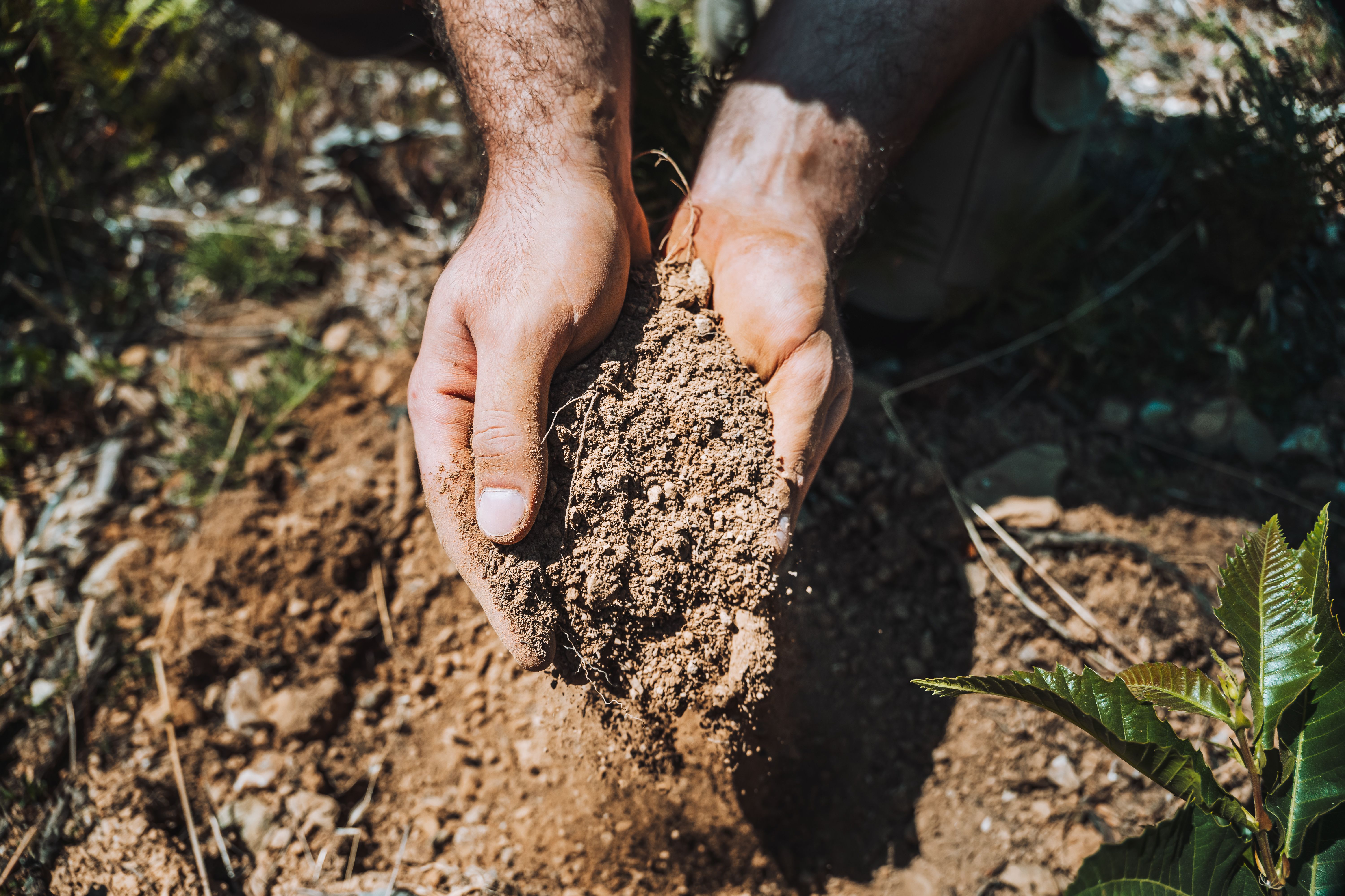 A l’échelle d’un écosystème, quel est le lien entre les sols et l’eau