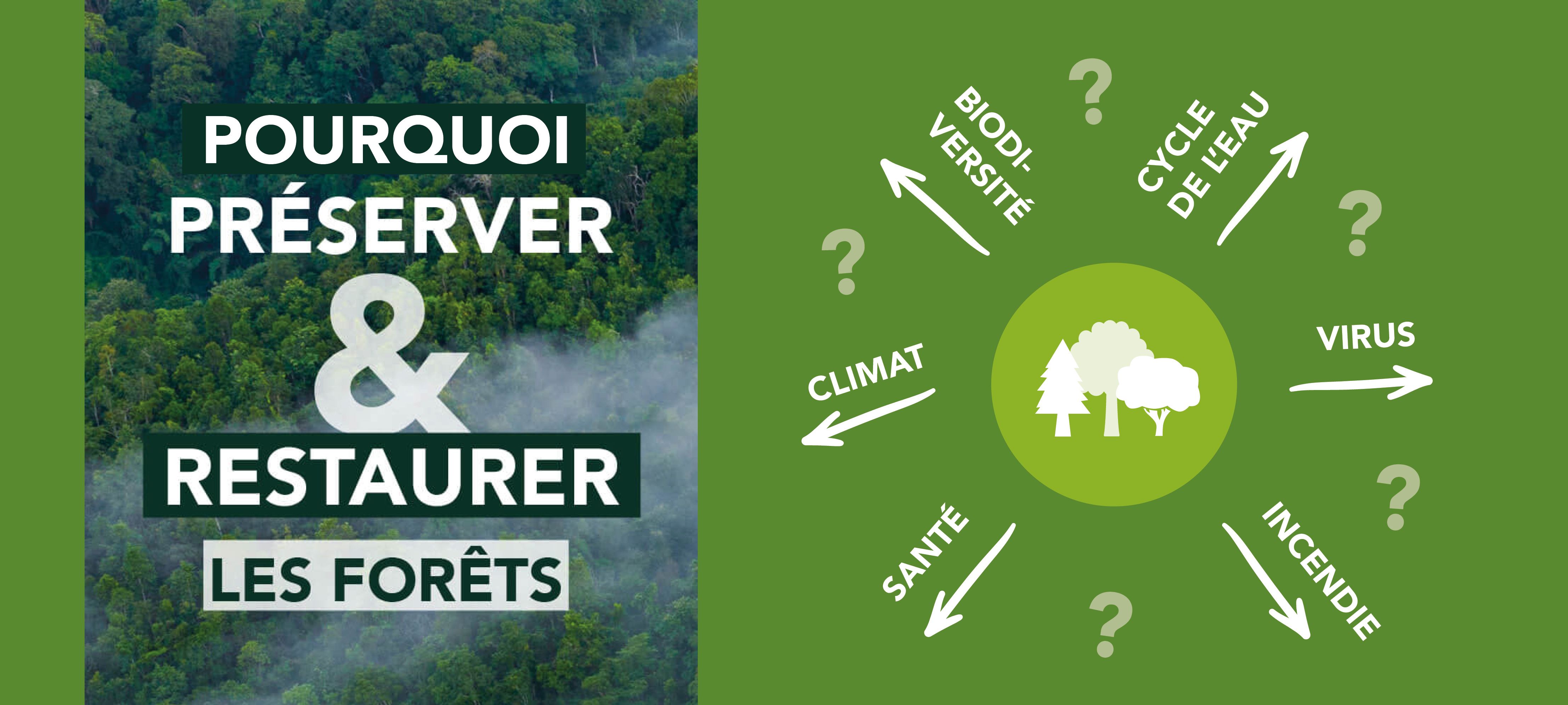 Infographie : pourquoi préserver et restaurer les forêts Infographie : pourquoi préserver et restaurer les forêts