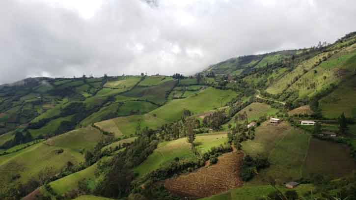 Colombia: a project that reveals the connection between environmental ...
