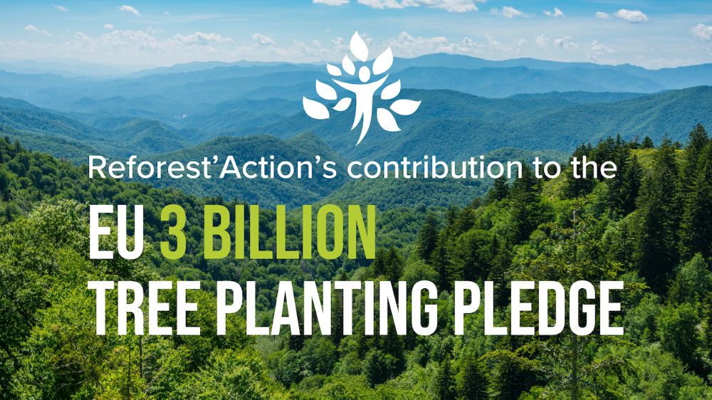 European Union 3 Billion Tree Planting Pledge: Reforest’Action's ...