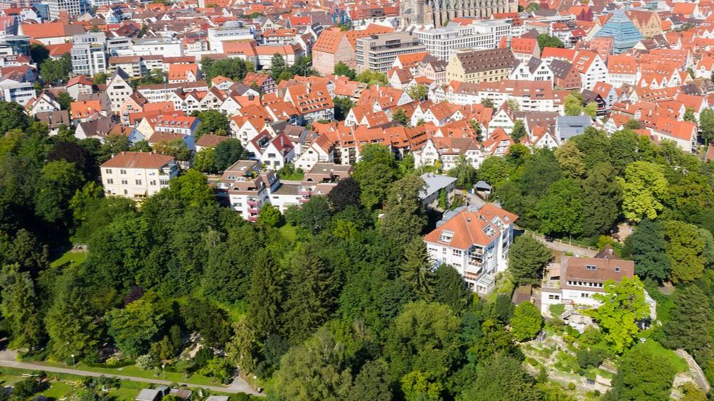 Restoring nature to the city by creating an urban micro-forest