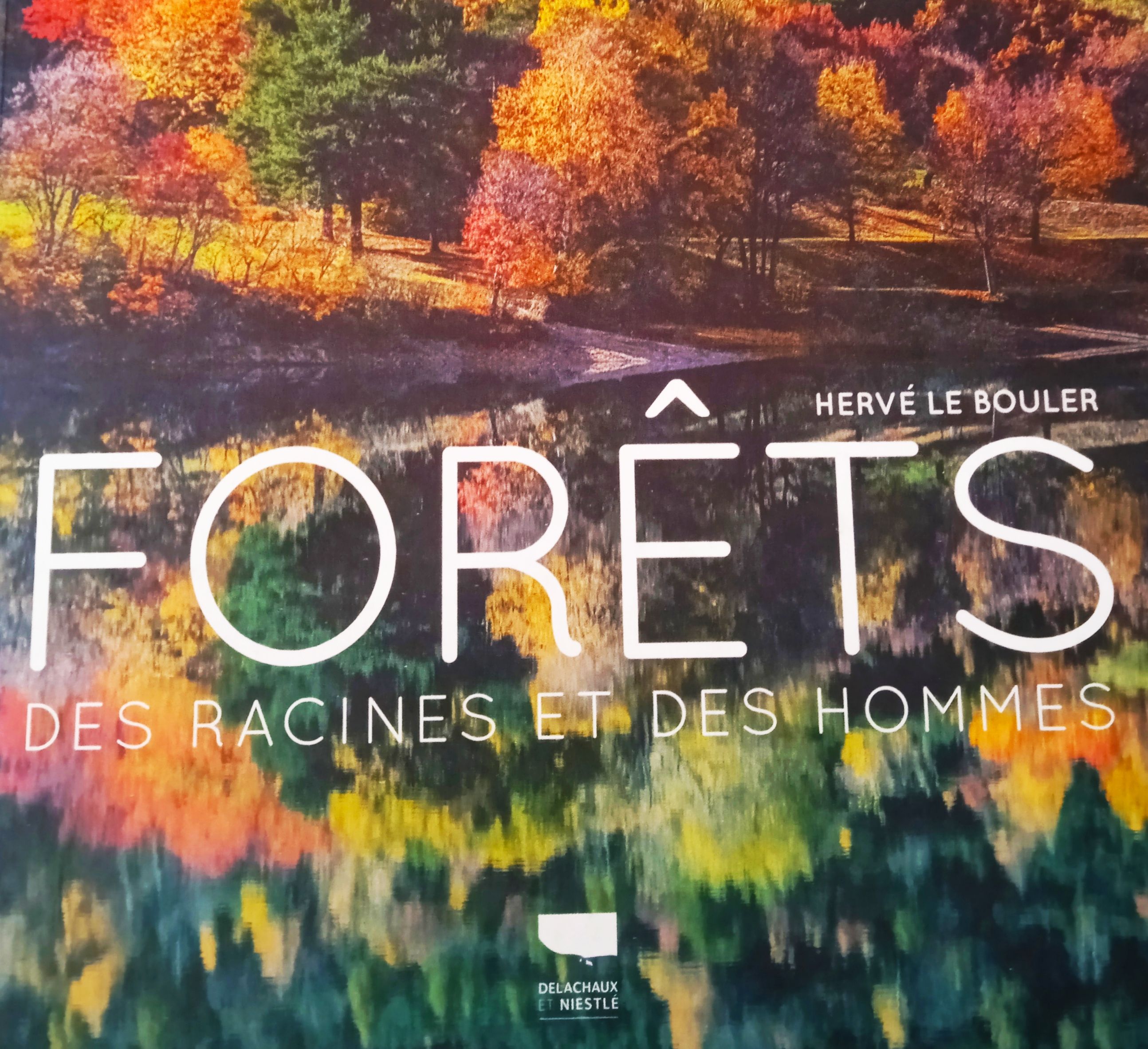 Reading tip : Hervé Le Bouler, Forêts. Des racines et des hommes ...