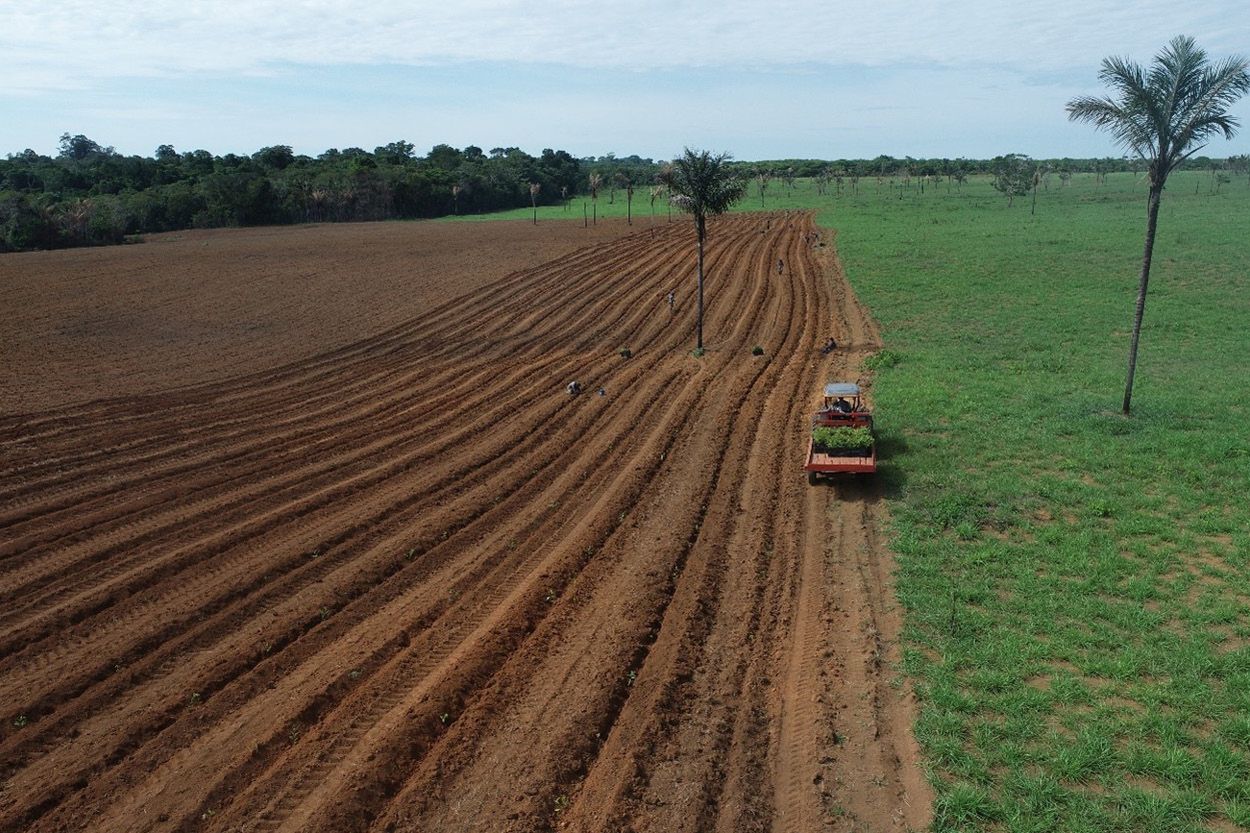 Brazil : new planting season within the Center for Bioeconomy and ...