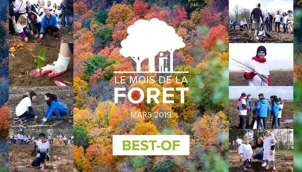 Le Mois de la Forêt 2019 : un grand succès grâce à vous