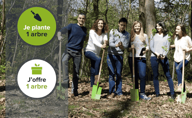 The Reforest 'Action Team in the Field