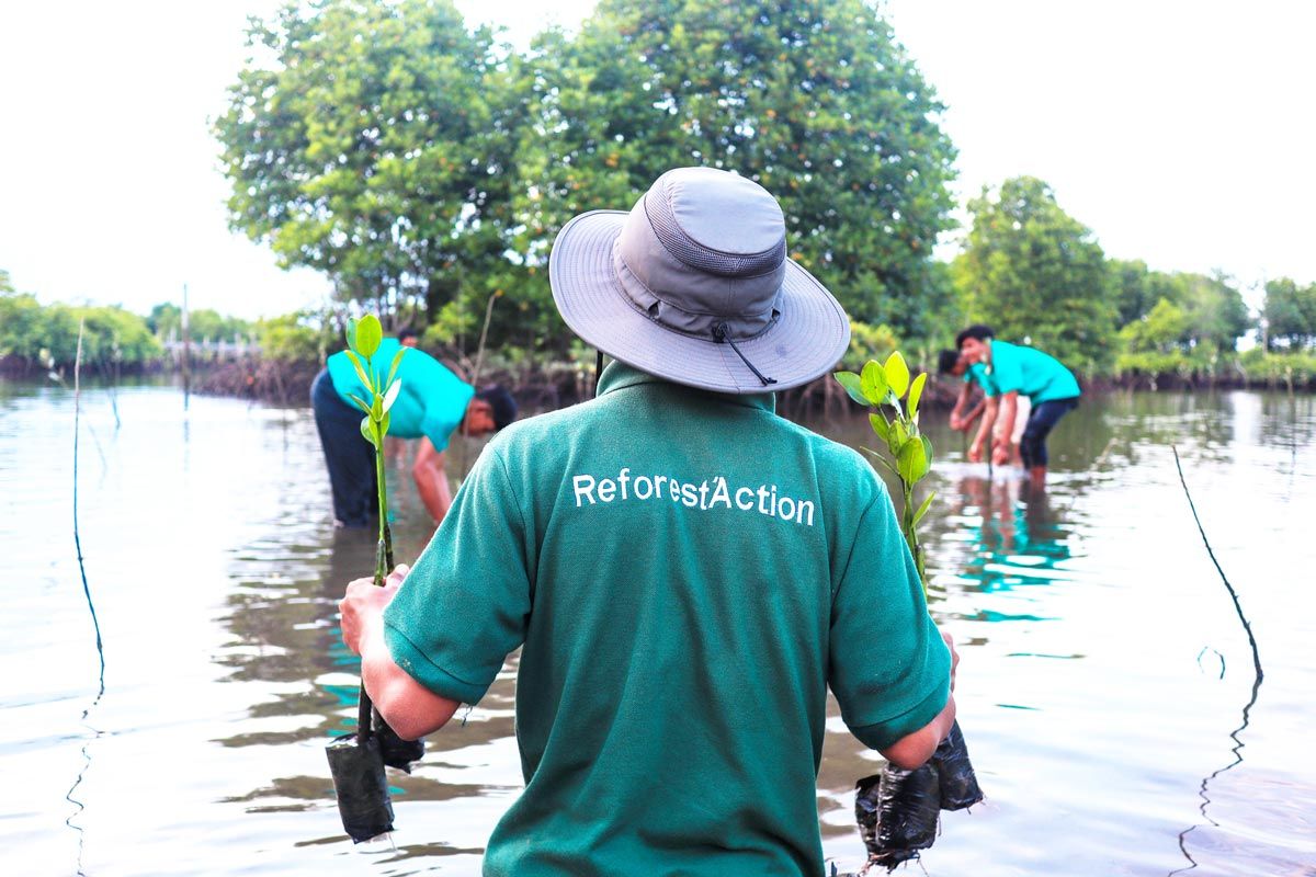 Since 2017, Reforest'Action has been supporting the restoration of the ...